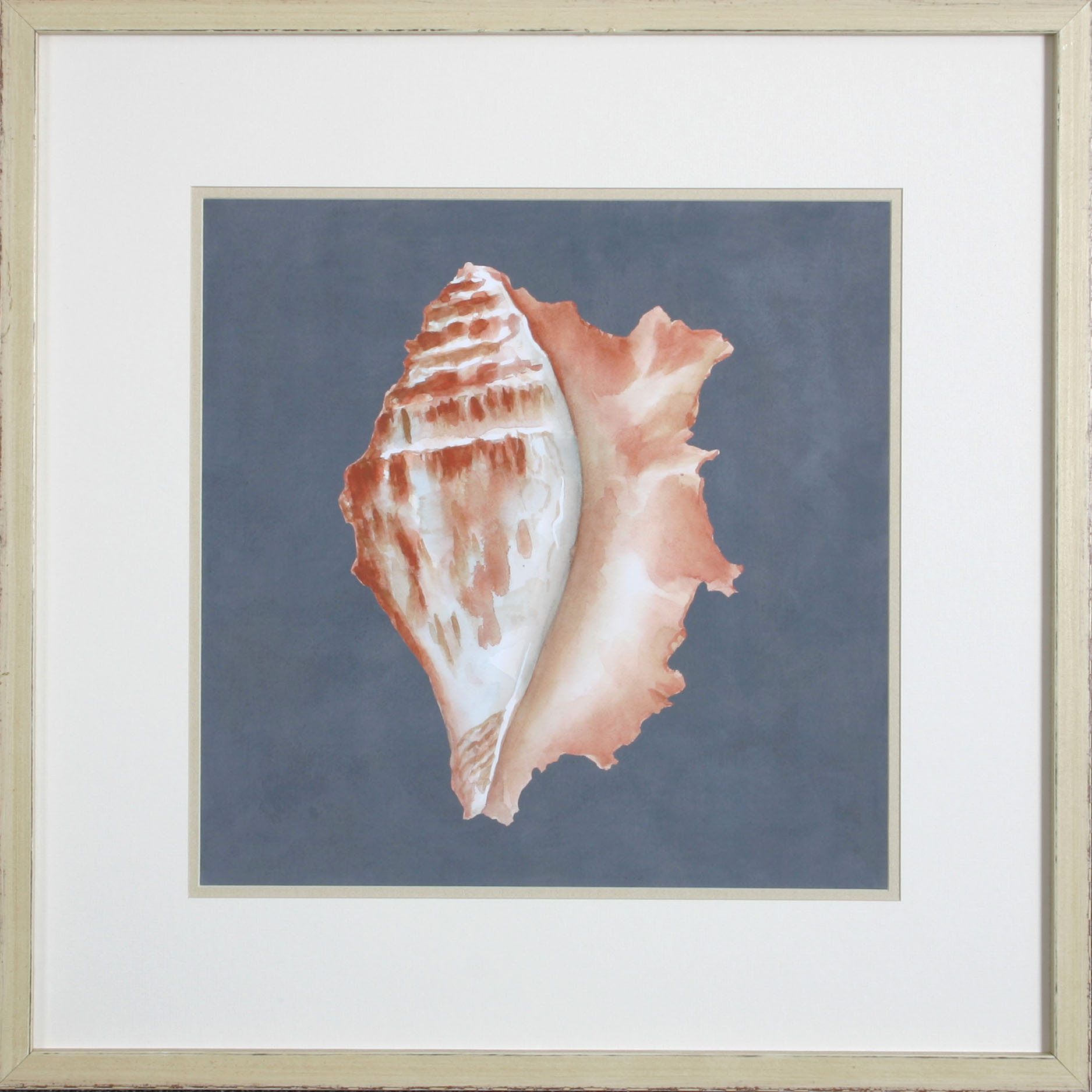 Shadow Catchers 'Shell on Slate IX' by Meagher - Picture Frame Drawing ...