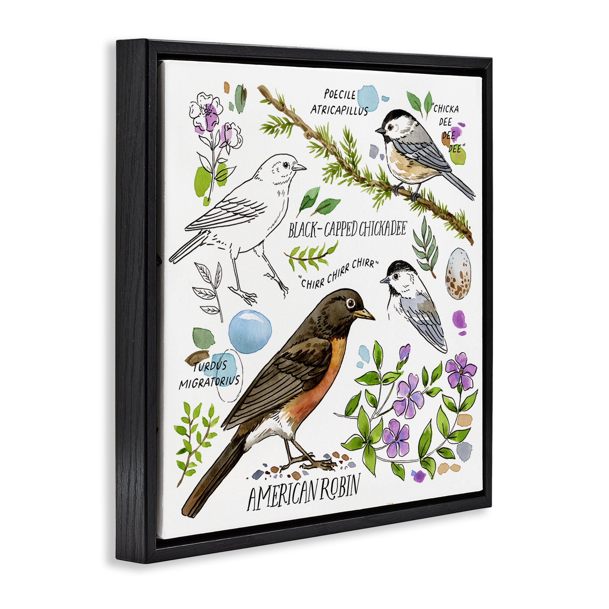 Trinx Local Bird Watching Framed Floater Canvas Wall Art by Jane Maday ...