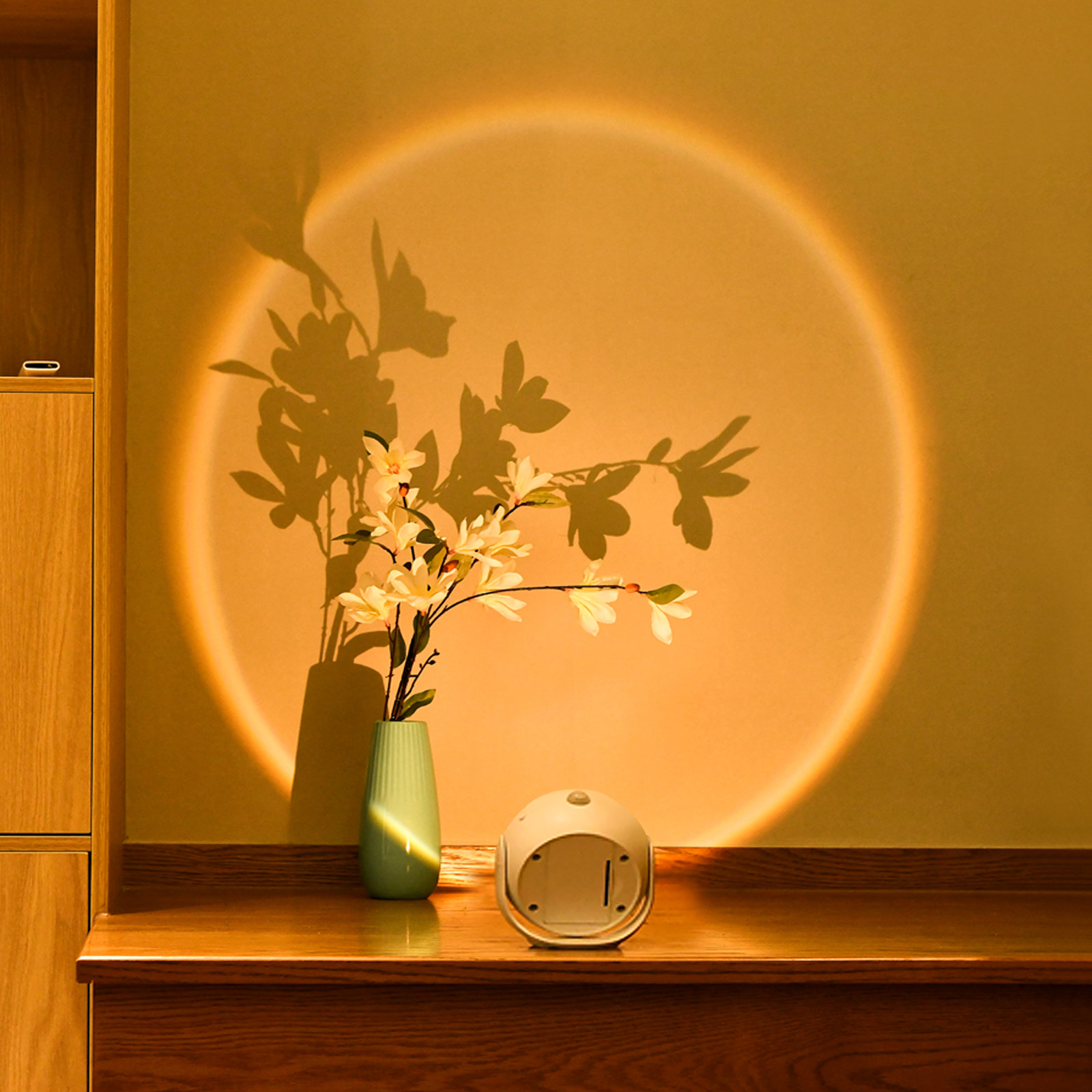 Haninula Modern Sensor Adjustable Brightness Color Temperature Led ...