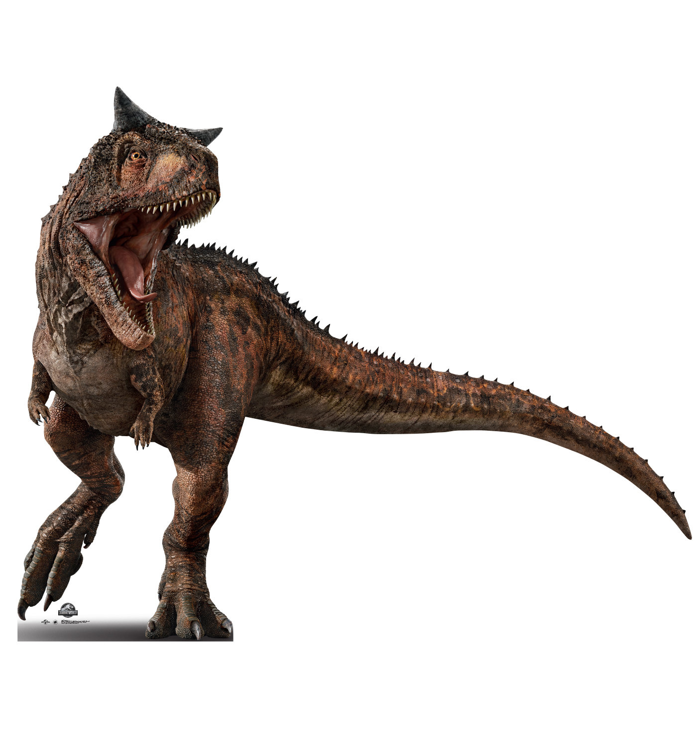 Carnotaurus Size Comparison T Rex