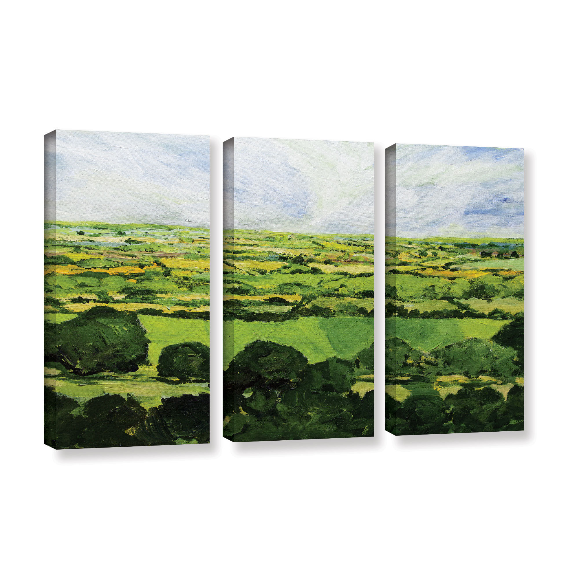 Darby Home Co Kensworth by Allen Friedlander - 3 Piece Wrapped Canvas ...