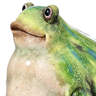 The Holiday Aisle® 9" Terracotta Bull Frog - Wayfair Canada