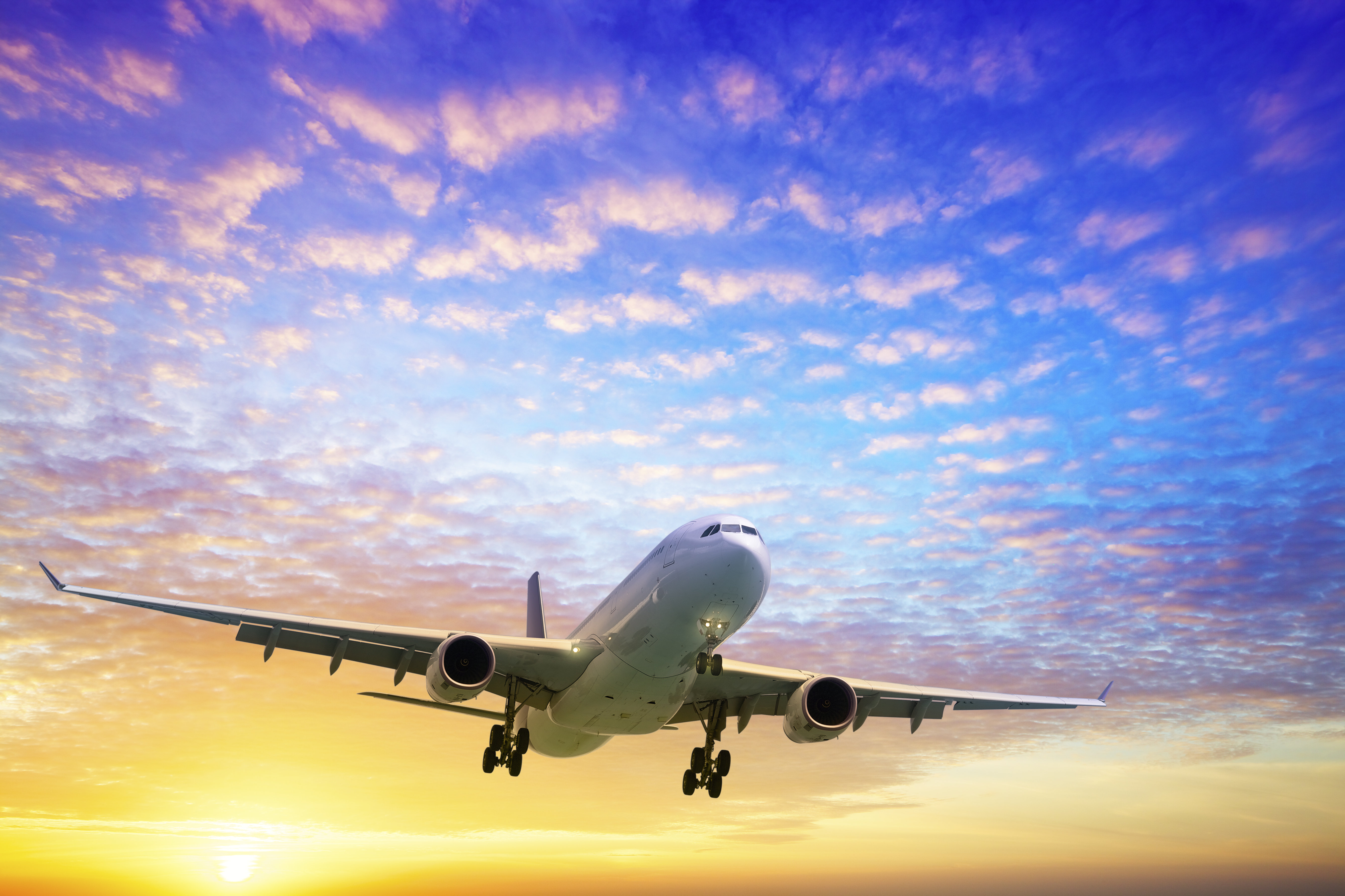 Hokku Designs Meera Evening Flight by Cgiheart | Wayfair