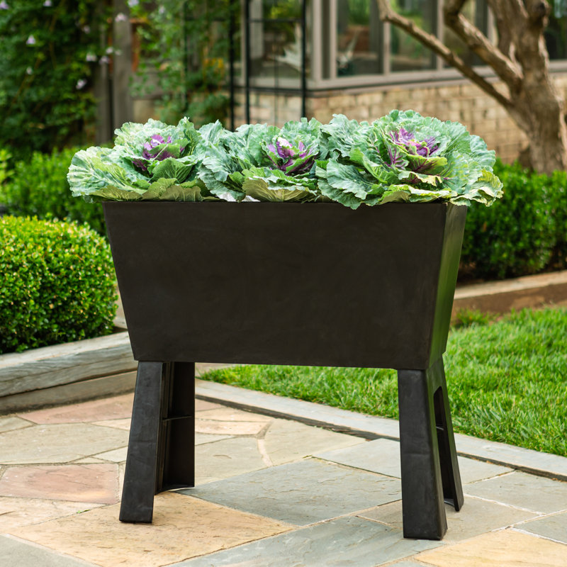Arlmont & Co. Aarons Elevated Planter | Wayfair