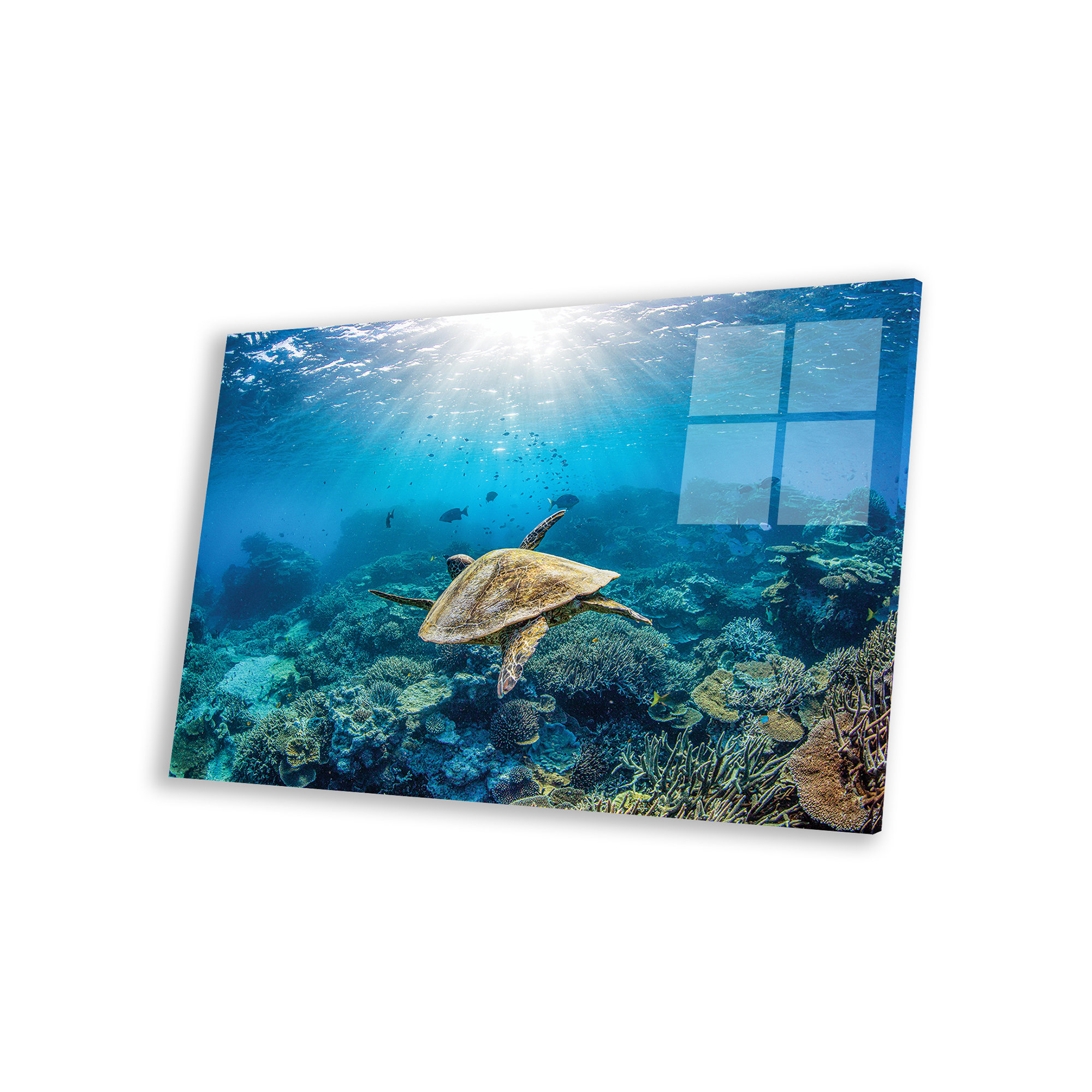 Bay Isle Home™ Curameng Reef Glider On Plastic/Acrylic by Jordan Robins ...