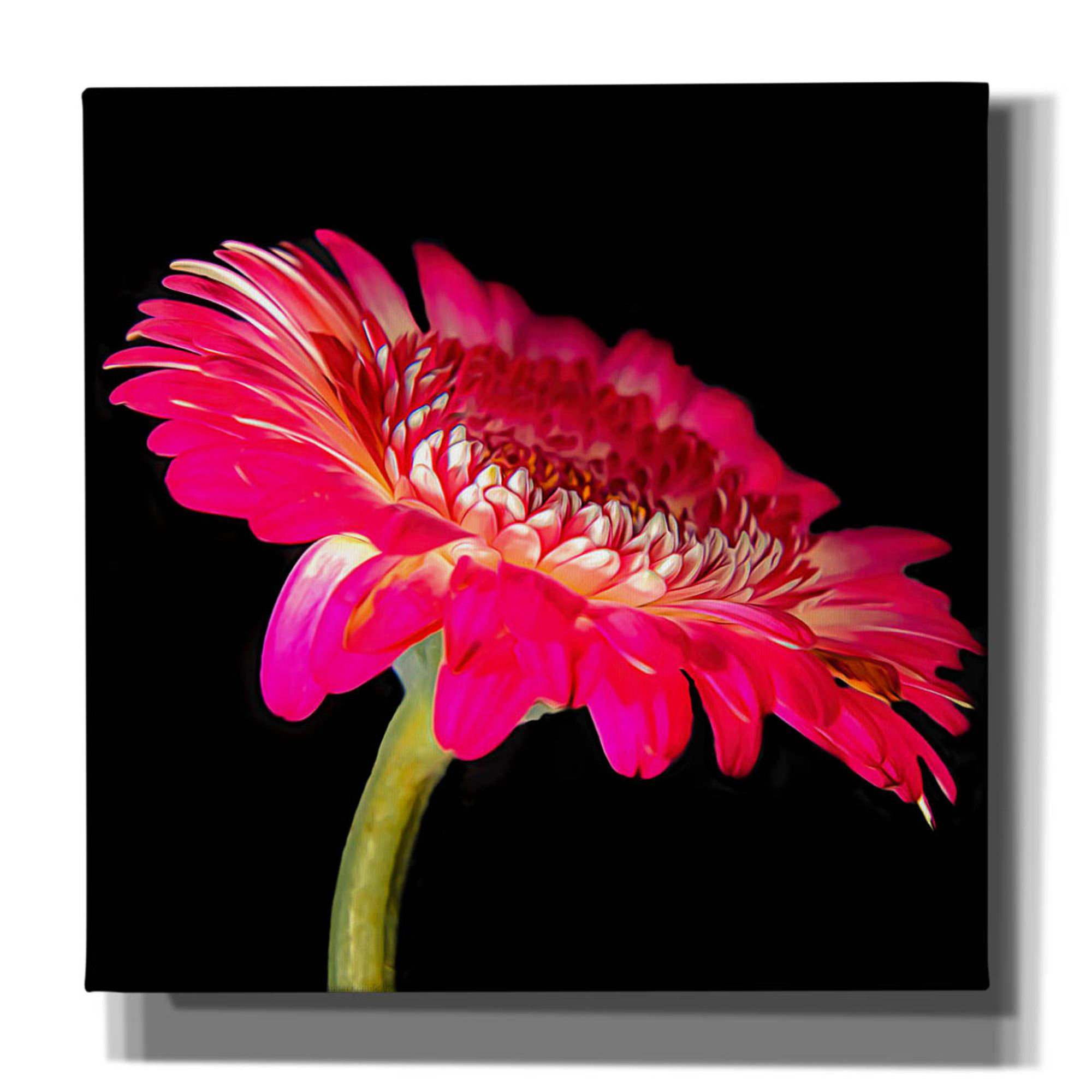 Latitude Run® Awakening On Canvas by Pamela Plummer Print | Wayfair