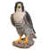Hi-Line Gift Ltd. Peregrine Falcon Statue & Reviews | Wayfair