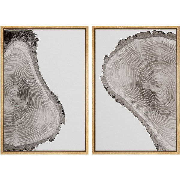 wall26 Black & White Forest Wood Tree Ring Collage Nature Wilderness ...