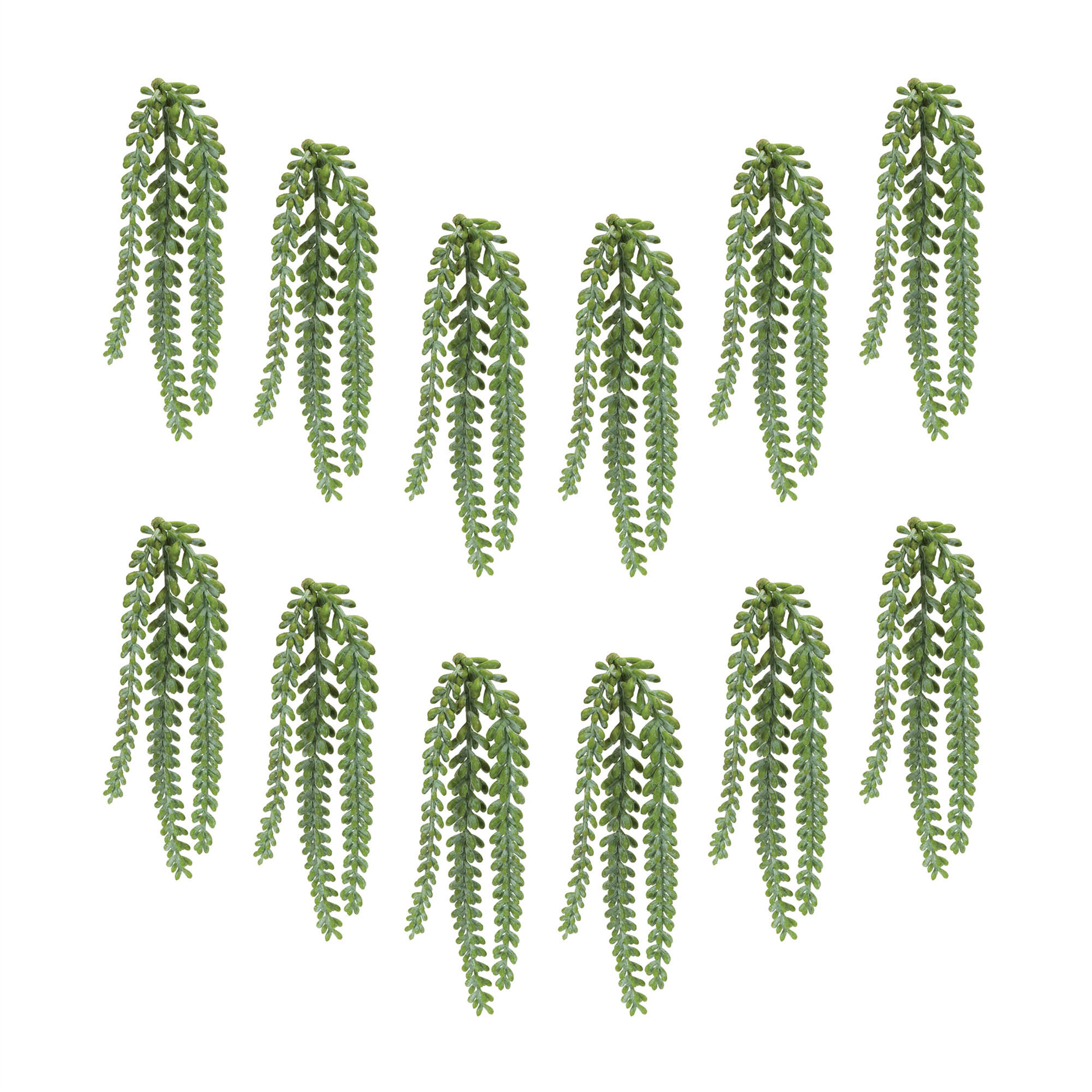 Primrue Hanging Sedum Succulent Spray | Wayfair