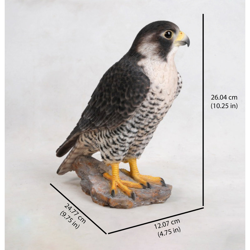 Hi-Line Gift Ltd. Peregrine Falcon Statue & Reviews | Wayfair