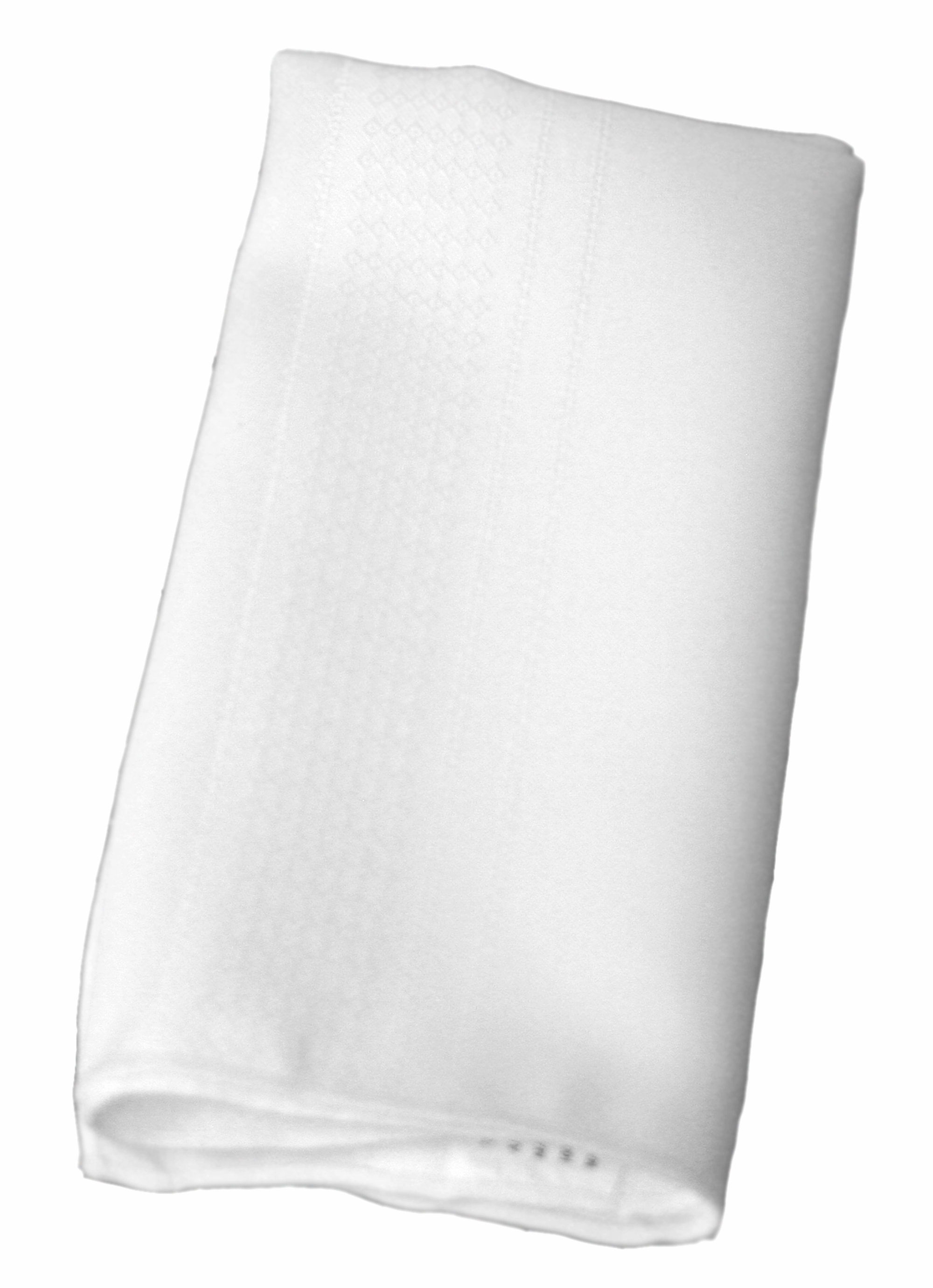 Charlton Home® Demorest Dinner 17" Napkin & Reviews | Wayfair
