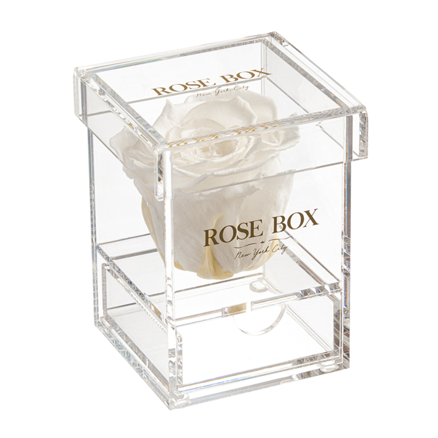 Rose Box NYC Single Rose Floral Arrangement in Jewelry Box | Wayfair
