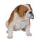 Hi-Line Gift Ltd. Dog Bulldog Statue & Reviews | Wayfair