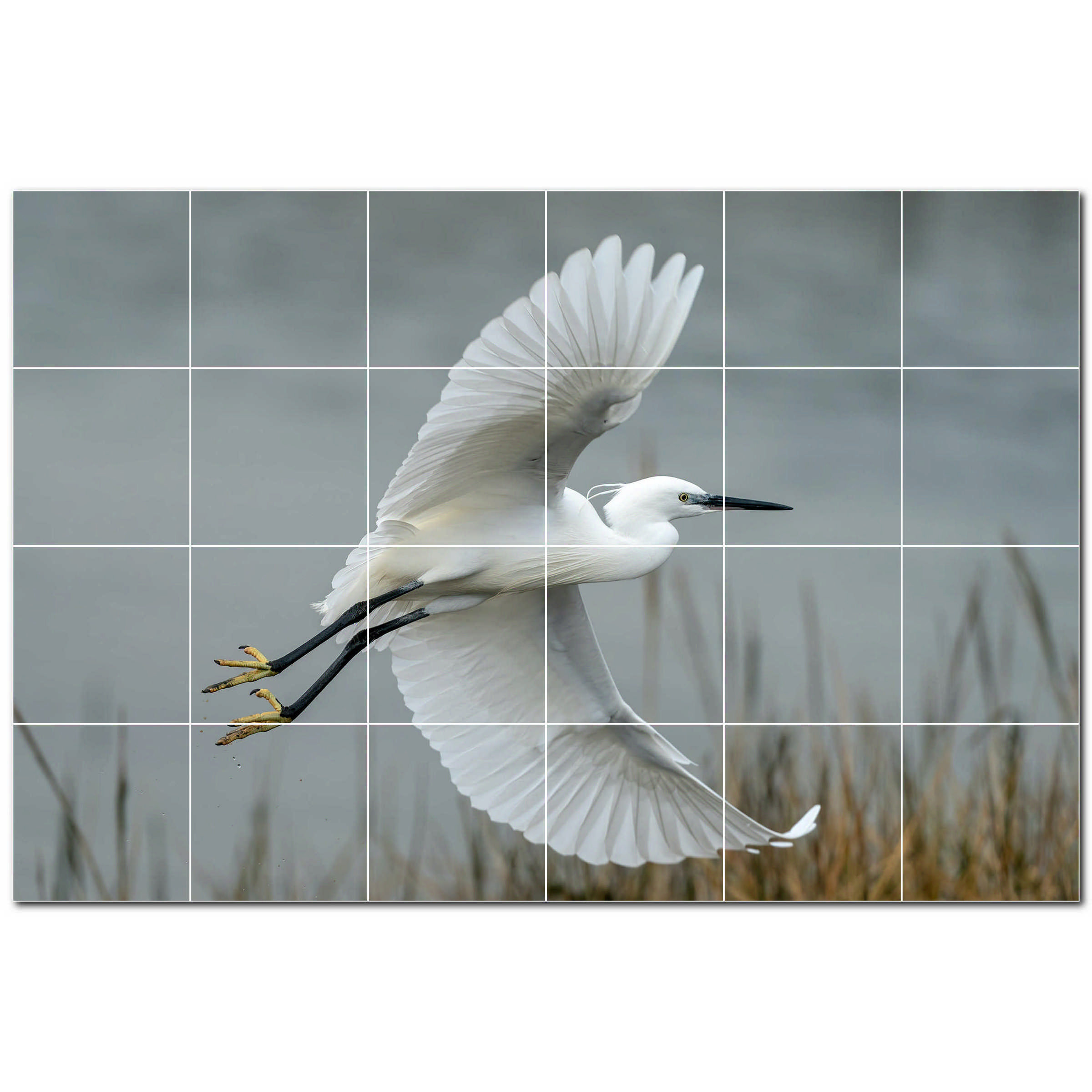 Picture-Tiles.com Bird Photo 8'' x 8'' Satin Ceramic Decorative Mural ...