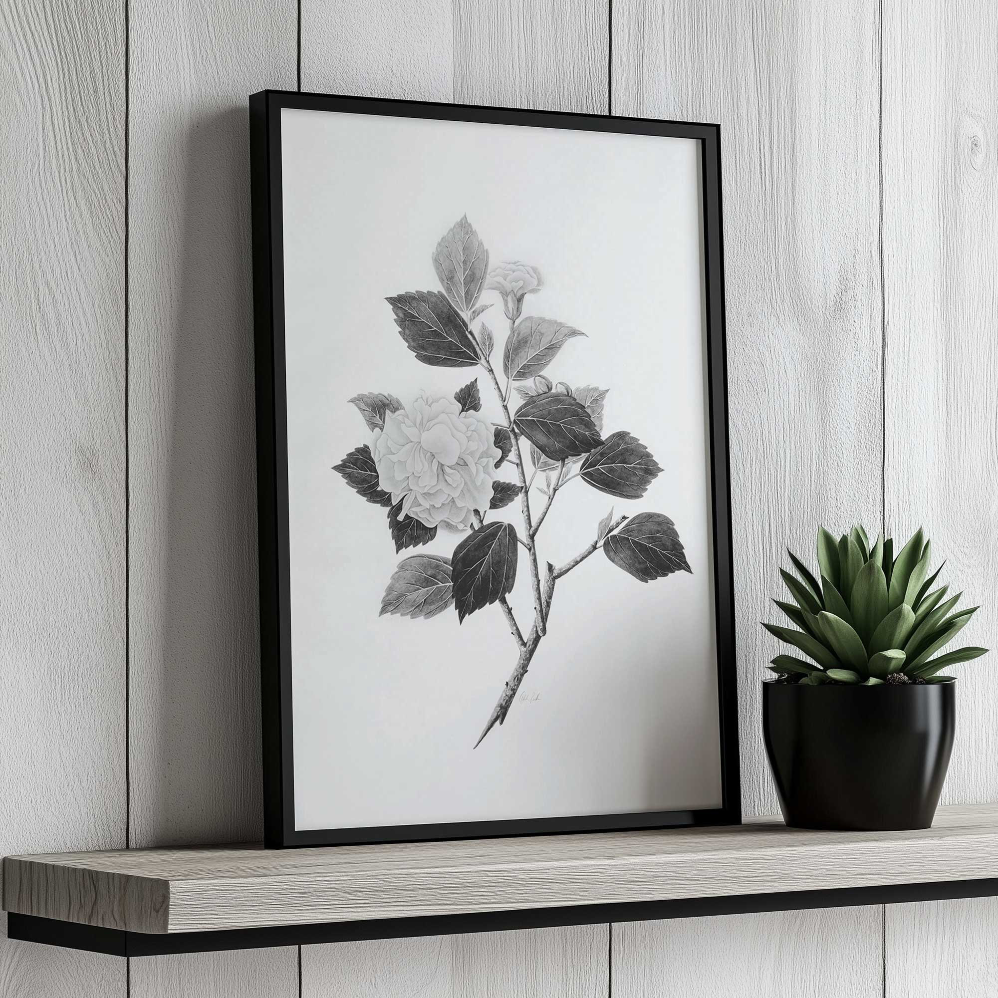 Winston Porter Botanical V By Deborah Revell Art Print | Wayfair