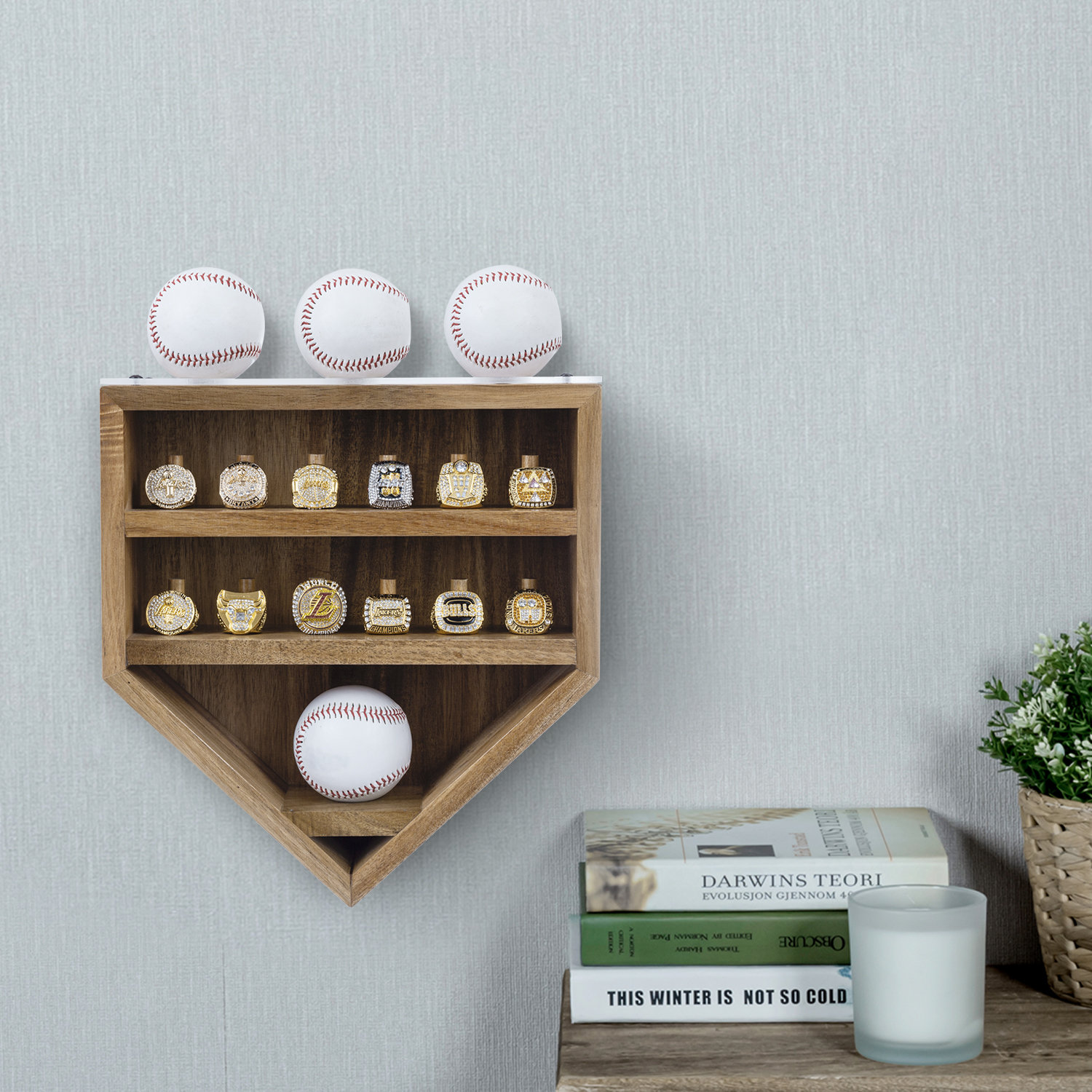MyGift Acacia Baseball Championship Ring Display Case | Wayfair