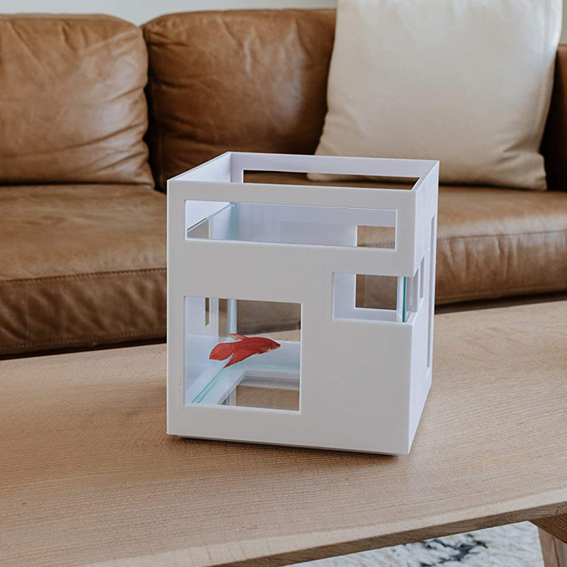 Umbra Square 2 Gallons Aquarium Tank & Reviews | Wayfair