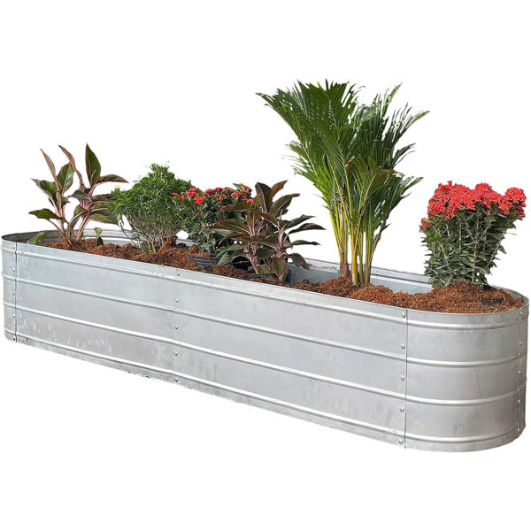 Arlmont & Co. Galvanized Steel Raised Garden Bed, Oval, 79IN, Silver ...