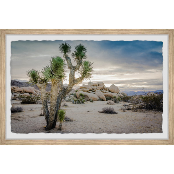 Union Rustic Lone Joshua Tree Framed On Paper Print | Wayfair