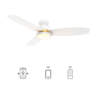 CARRO Smart Flush Mount Ceiling Fan with Light, Remote Control, DC ...