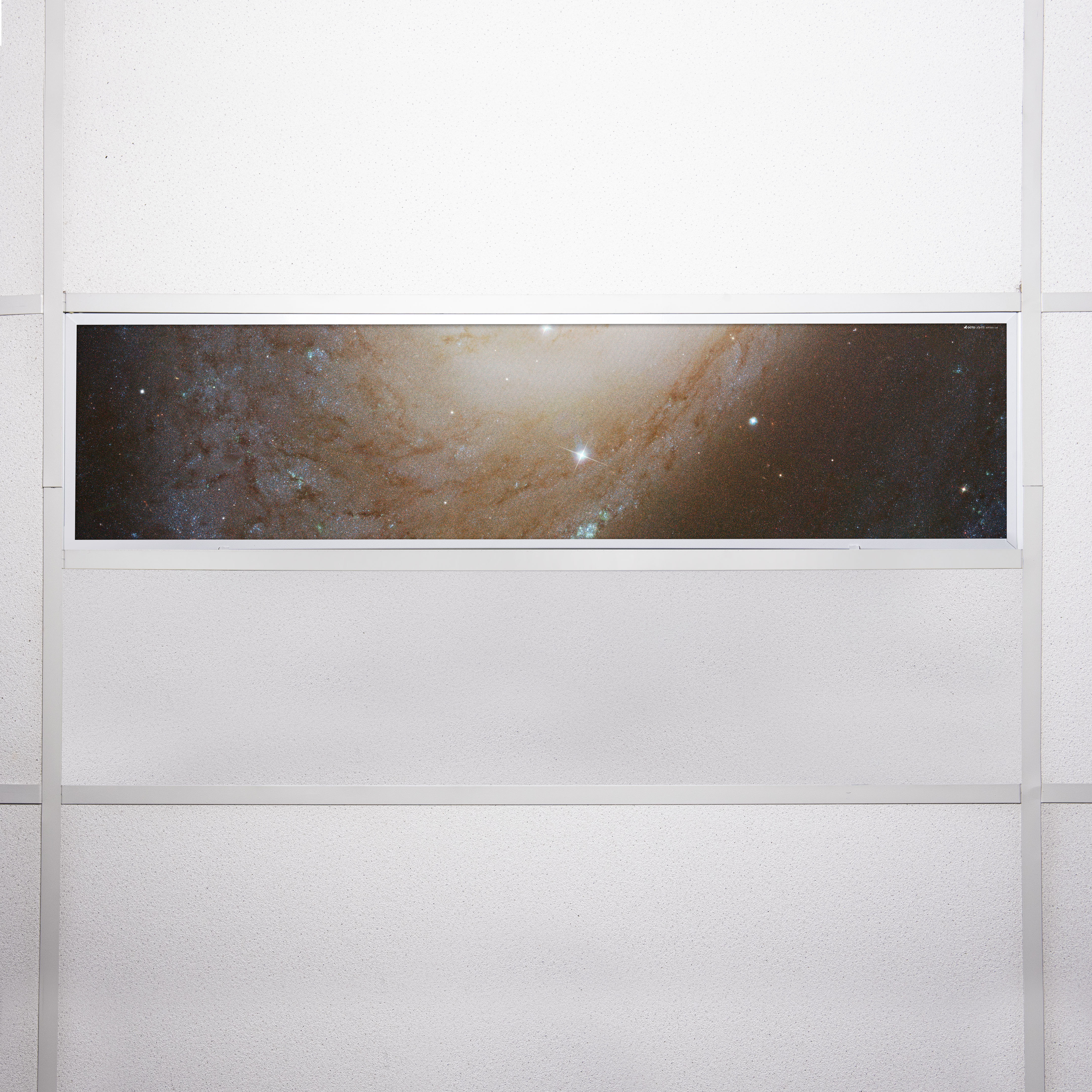 Octo Lights Astronomy Flexible Decorative Light Cover | Wayfair