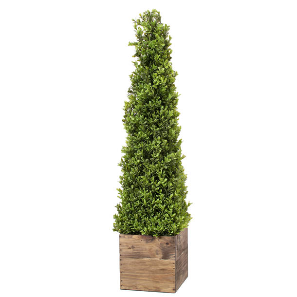 Laurel Foundry Modern Farmhouse 36'' Faux Boxwood Topiary in Wood ...