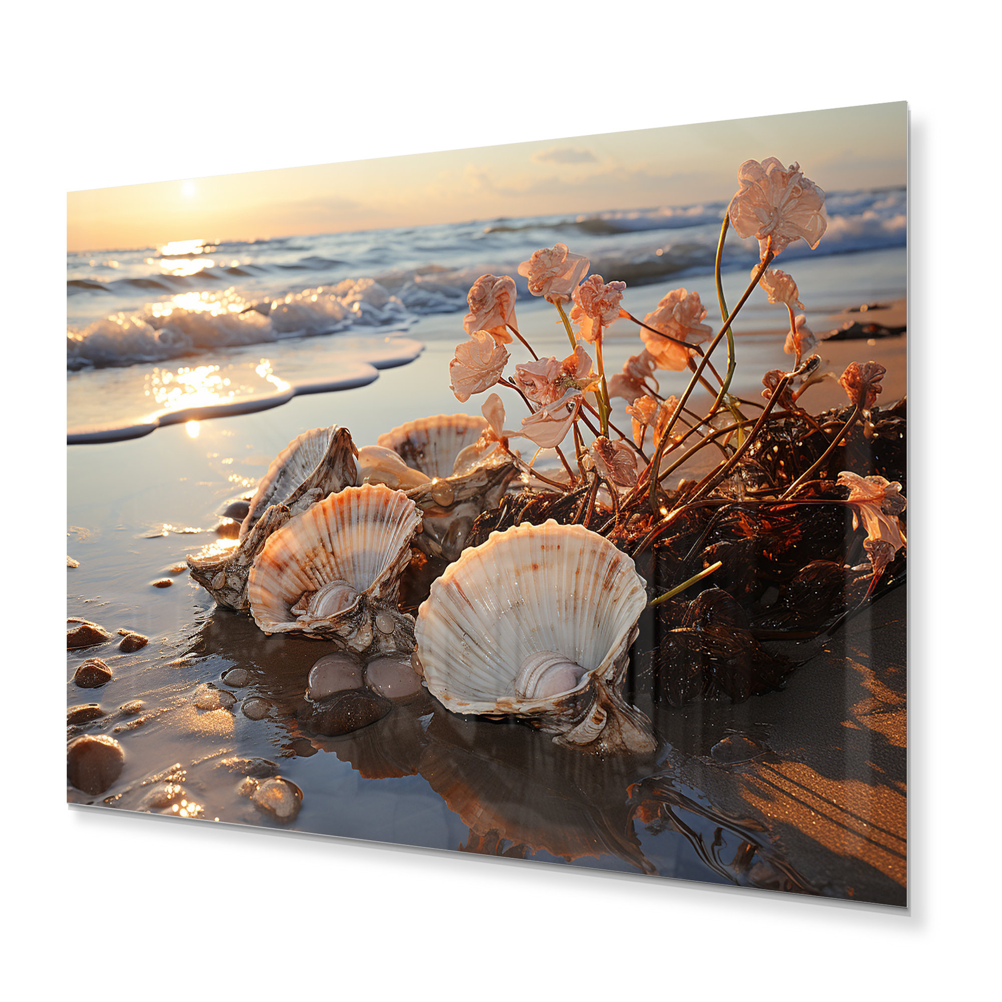 Highland Dunes Beach Photo Seashell Collage IV - Nautical & Beach Metal ...