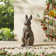 Trinx Zachary MGO Standing Rabbit Garden Statue & Reviews | Wayfair