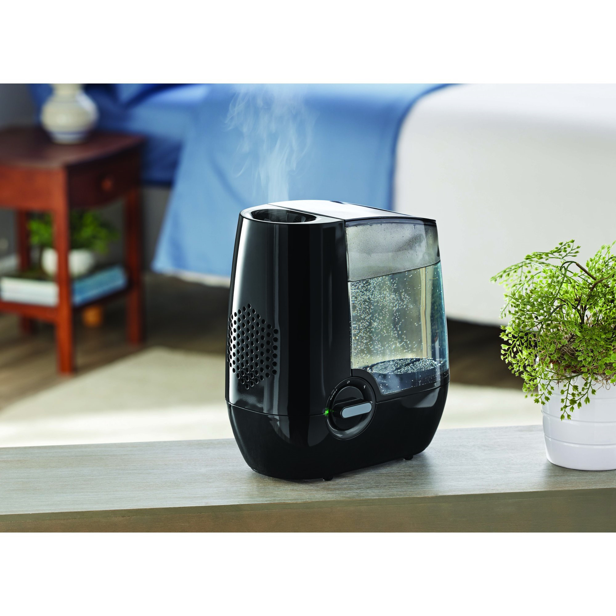 Intexca 1 Gal. Warm Mist Stream Tabletop Humidifier & Reviews | Wayfair
