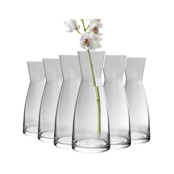 Bormioli Rocco Ypsilon Glass Carafes | Wayfair.co.uk