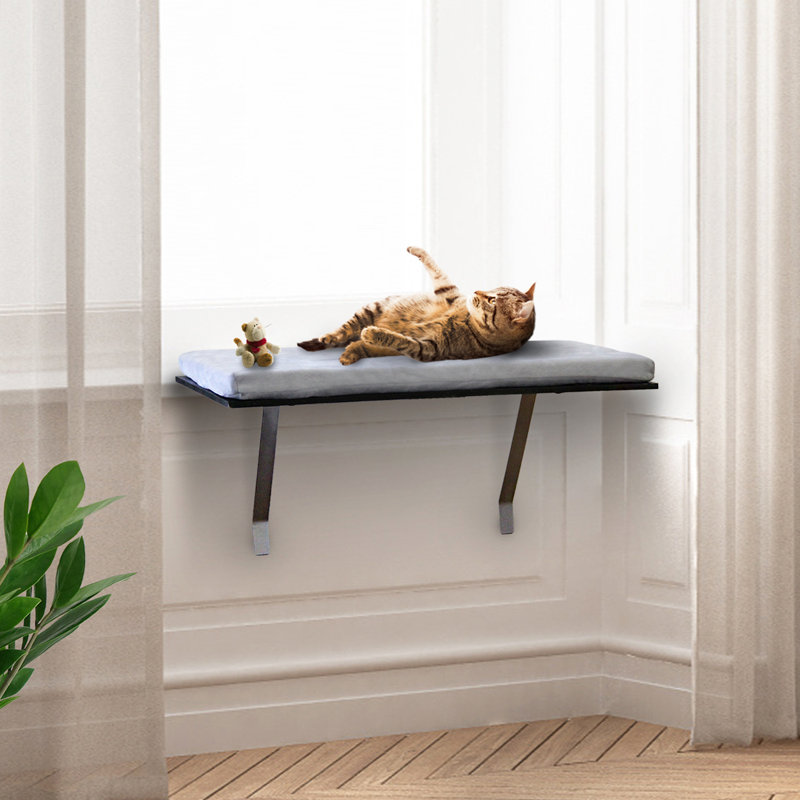 Tucker Murphy Pet™ Becerra Rectangle Cat Perch & Reviews | Wayfair