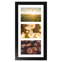 Collage Picture Frames You'll Love | Wayfair
