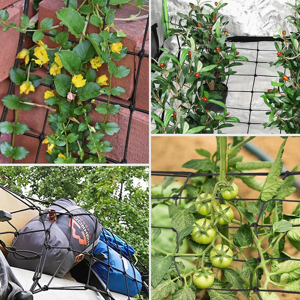 Arlmont & Co. 2 X 4Ft. Elastic Trellis Netting With 4 Hooks For Climbi ...