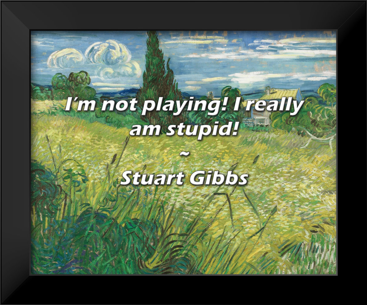 Ivy Bronx Stuart Gibbs Quote: I’m not playing! I really am stupid ...
