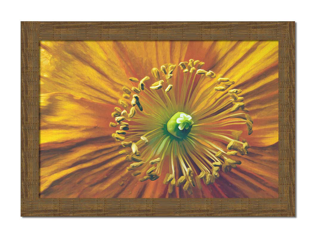 Hokku Designs Orange Macro Kaboom by Hal Halli. Paper Print - Mounted ...