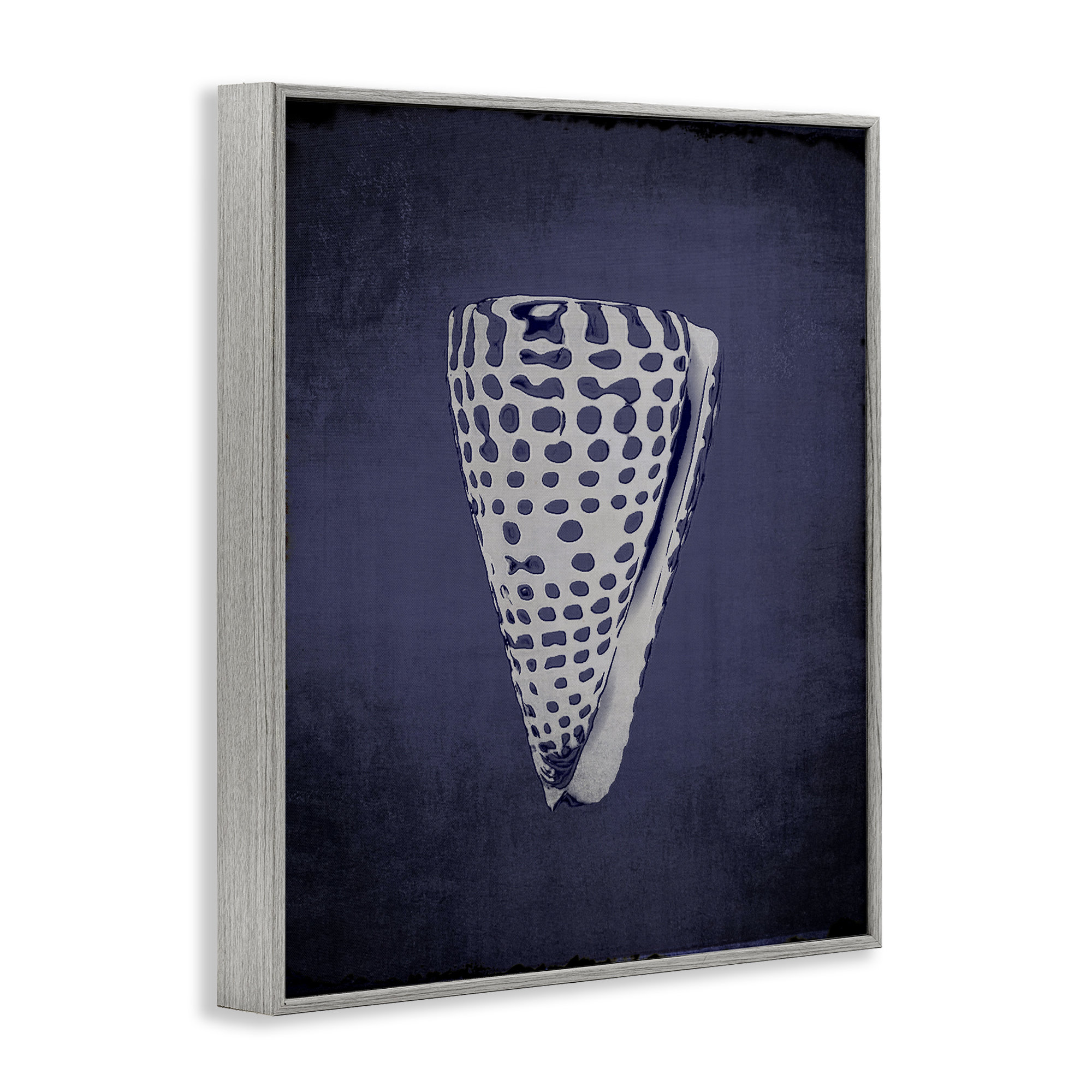 Ebern Designs Nautical Cone Shell Framed Giclee Art by Graffi*tee ...