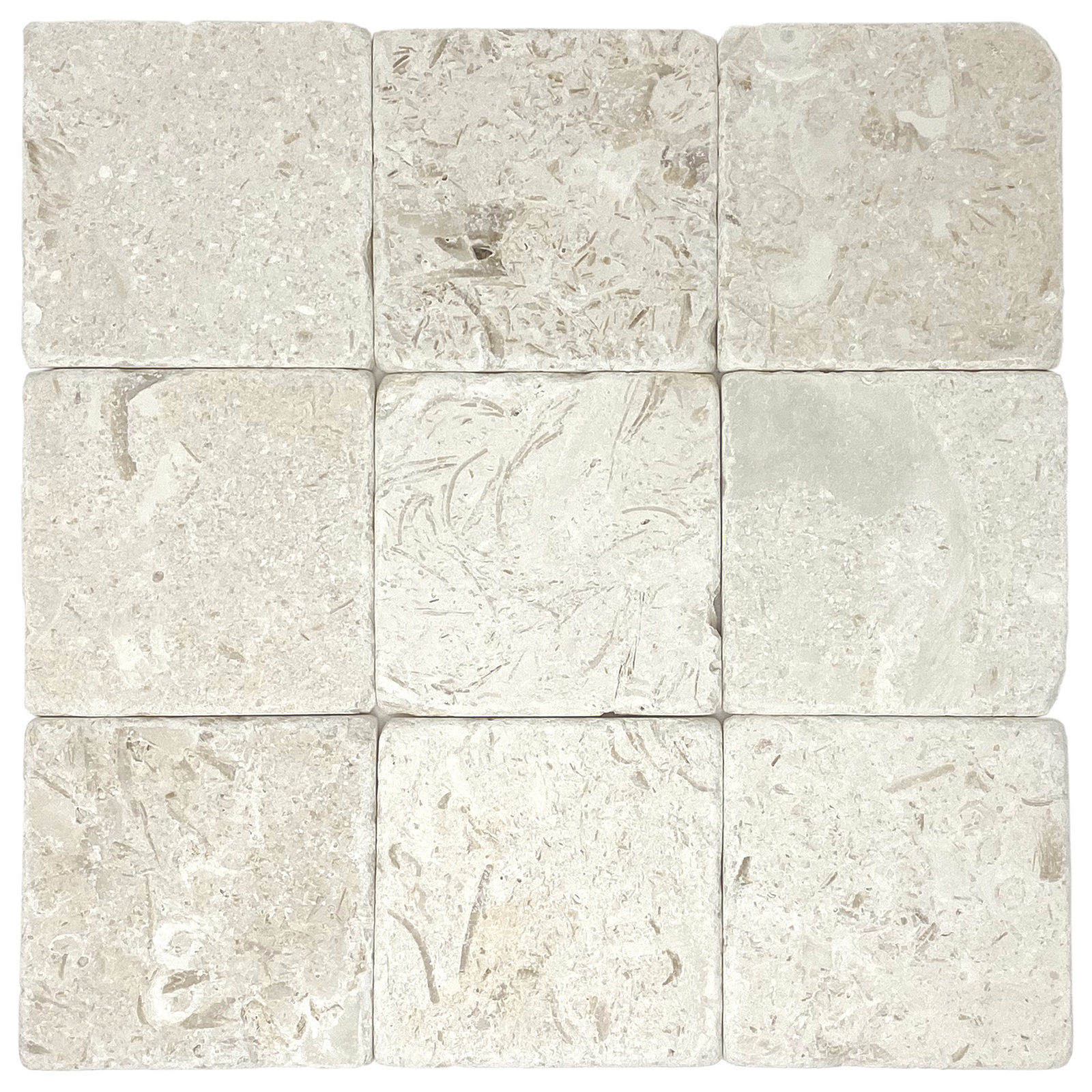 Parvatile Fossil Stone 4" x 4" Limestone Tile & Reviews - Wayfair Canada