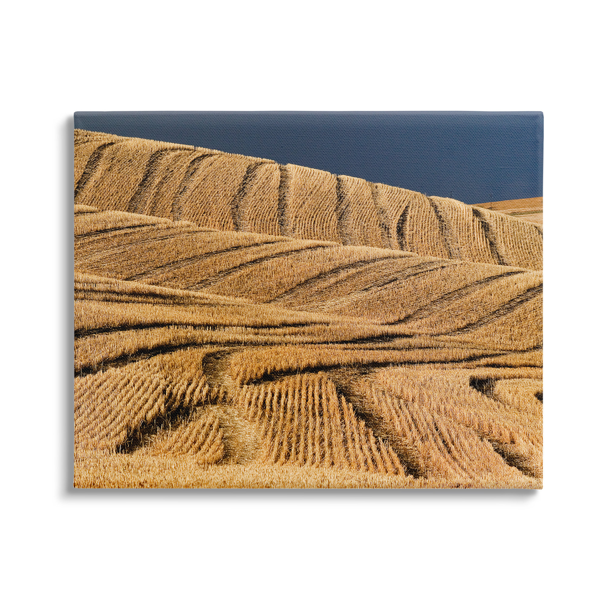 17 Stories Wavy Cornfield Lines Vast Rural Field by David Lorenz ...
