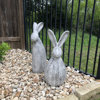 Design Toscano Big Burly Bunny Rabbit 2 Piece Statue Set & Reviews ...
