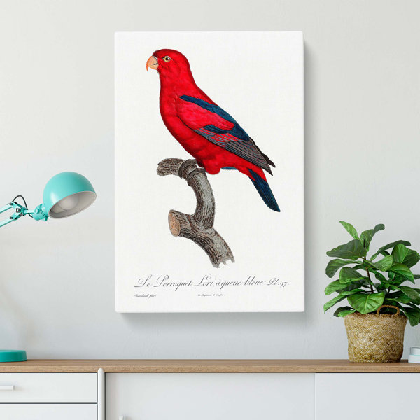 East Urban Home The Red Lory by F. Levaillant - Wrapped Canvas Painting ...