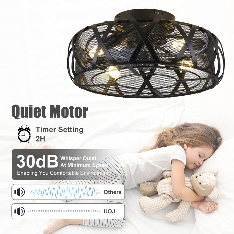 Williston Forge Karnisha 19.6'' Ceiling Fan with Light Kit & Reviews ...