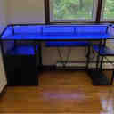 Trent Austin Design Lucilla Reversible Desk & Reviews | Wayfair