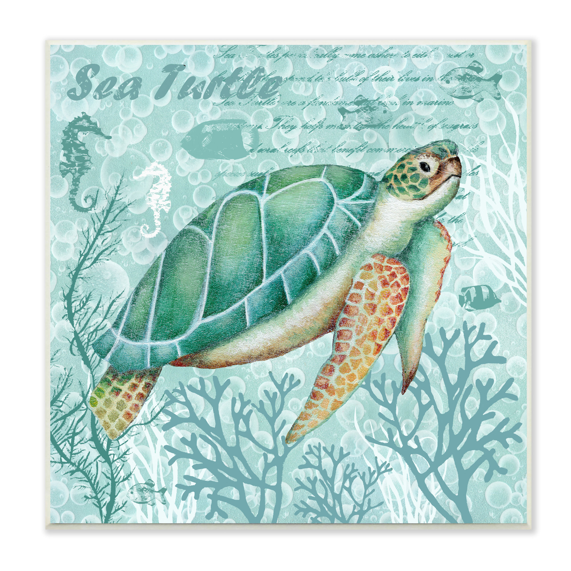 Stupell Industries Sea Turtle Detailed Coral Silhouettes Fancy Script ...