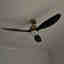 Mercer41 Loritta 52'' 3 - Blade Large Indooor Ceiling Fan With Light ...