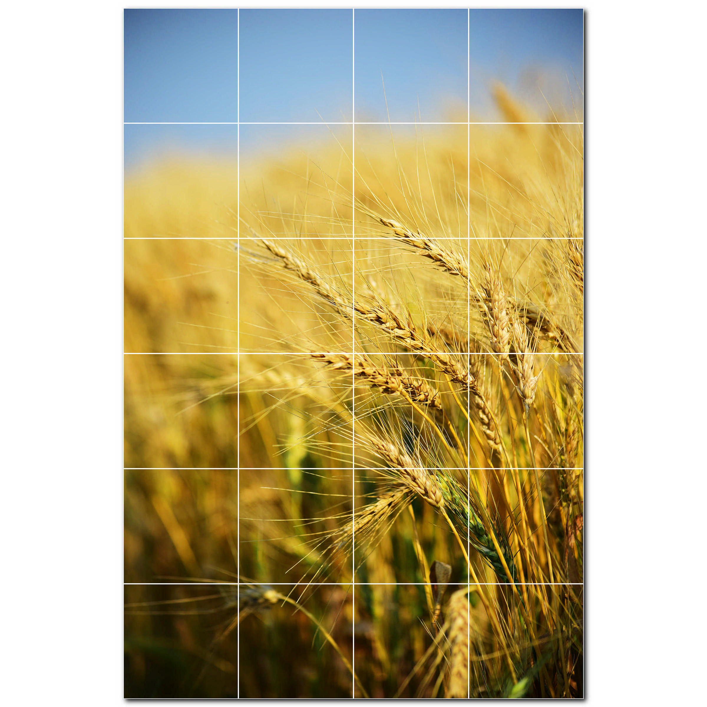 Picture-Tiles.com 32" x 48" Ceramic Farm Photo Decorative Mural Tile ...