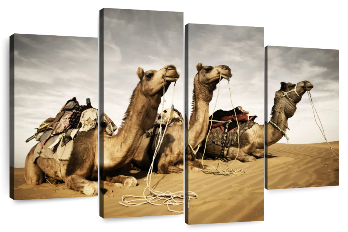 Union Rustic Thar Desert Camels | Wayfair