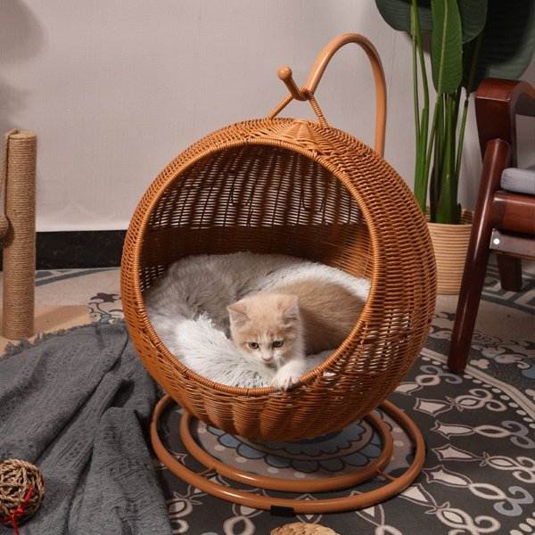 Elevated Cat Beds You'll Love | Wayfair