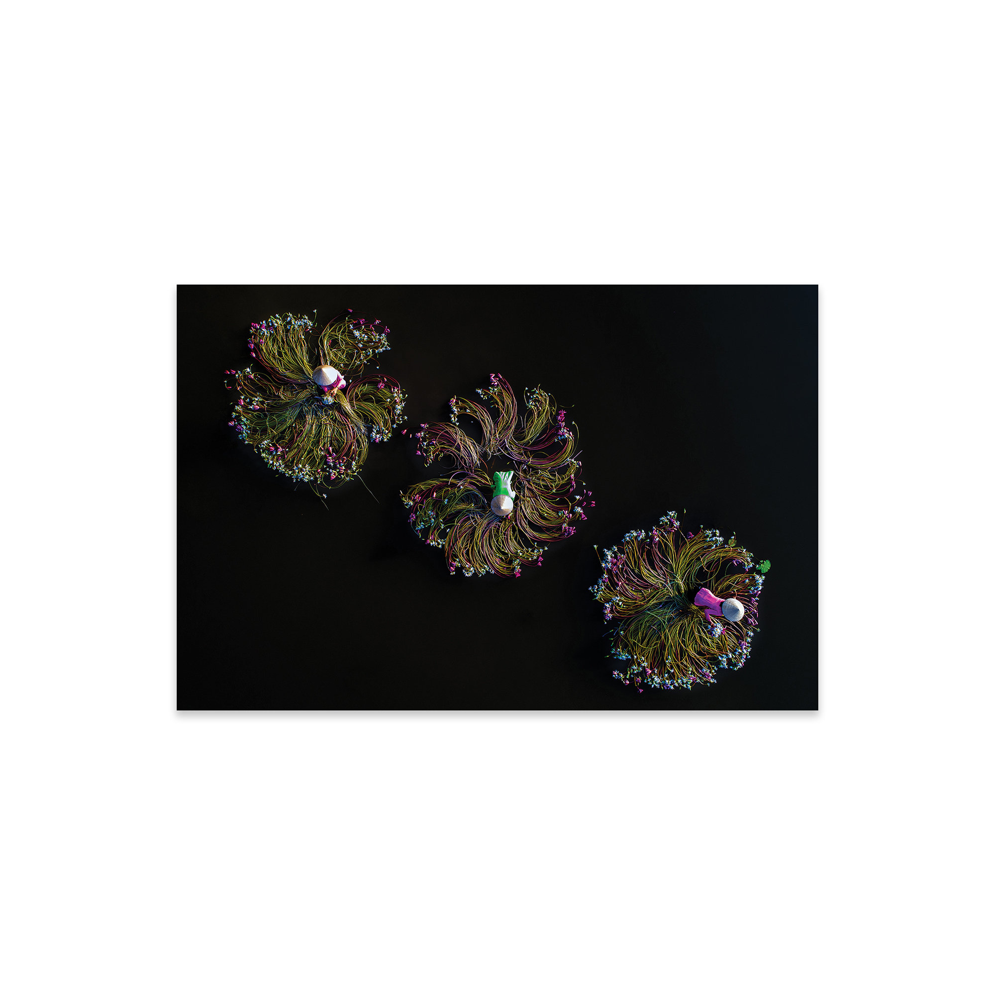 Latitude Run® Haikey Waterlilies III by Trung Pham - Unframed Print ...