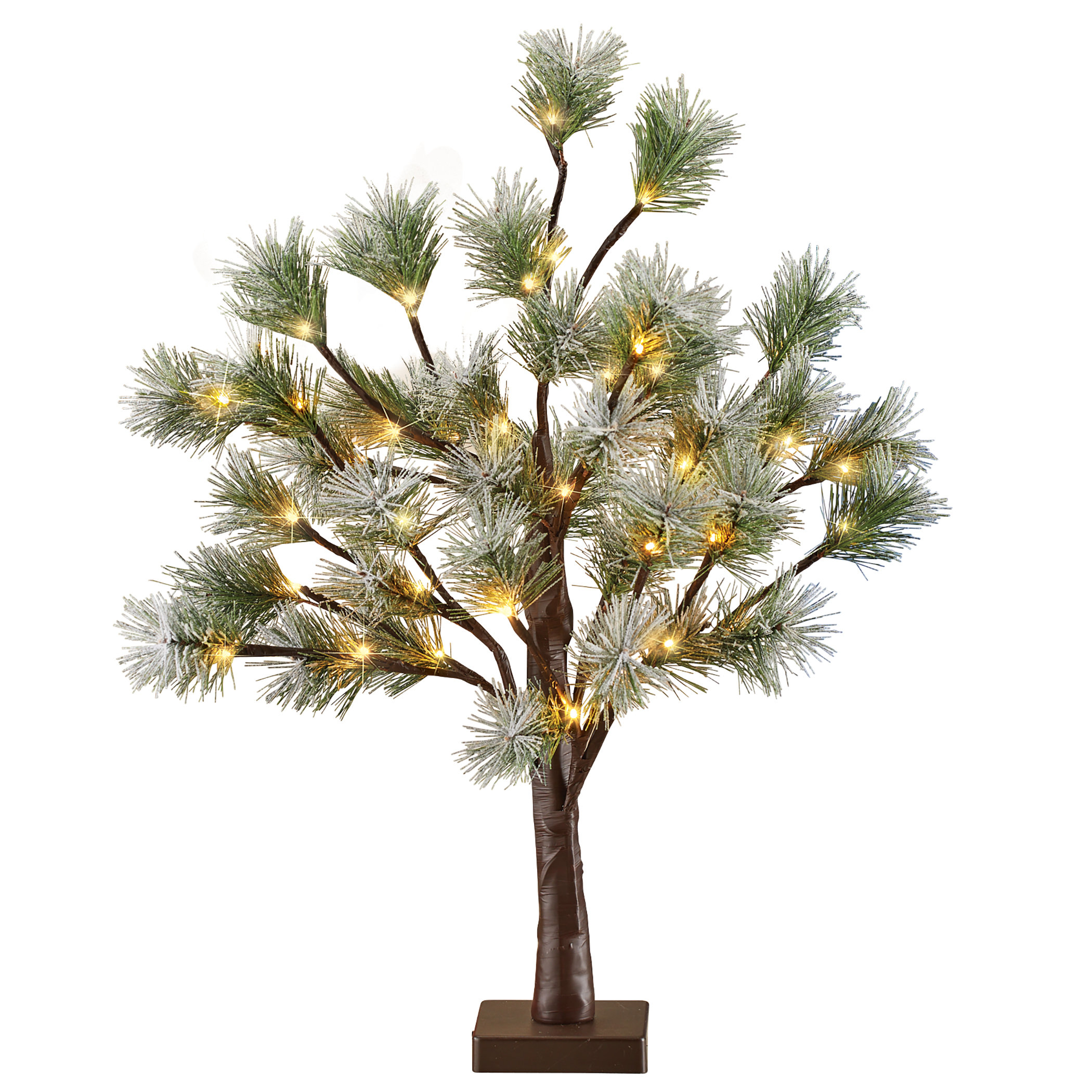 Charlton Home® LED Lighted Frosted Pine Tabletop Tree | Wayfair