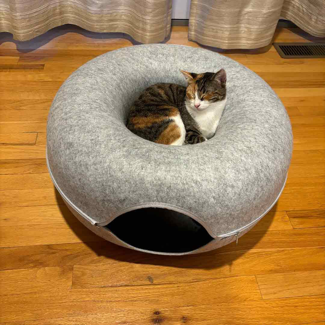 Hokku Designs Peekaboo Cat Cave For Multiple & Large Cats Up To 30-45 ...